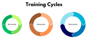 Weight Training for Swimmers- a Comprehensive 7 Step Guide